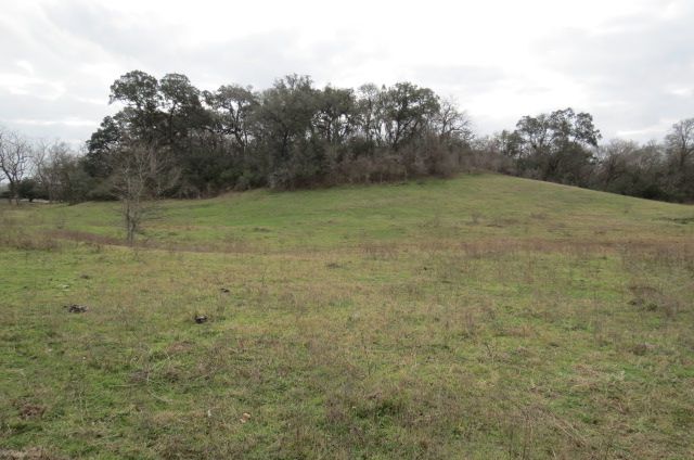 Field School 2014 - Houston Archeological Society