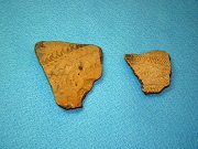 Photos Laboratory - Houston Archeological Society